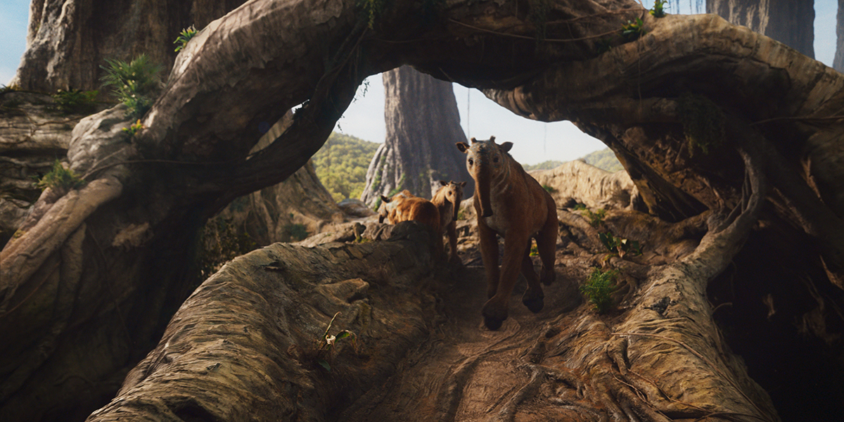Amber Spyglass and Mulefa Seedpods | Pitt Rivers Museum