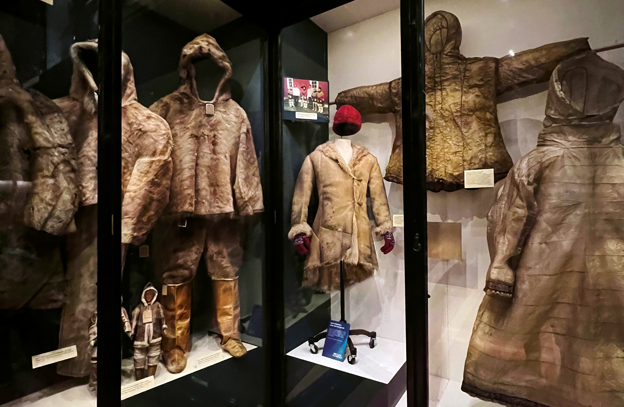 Lyra's Coat | Pitt Rivers Museum