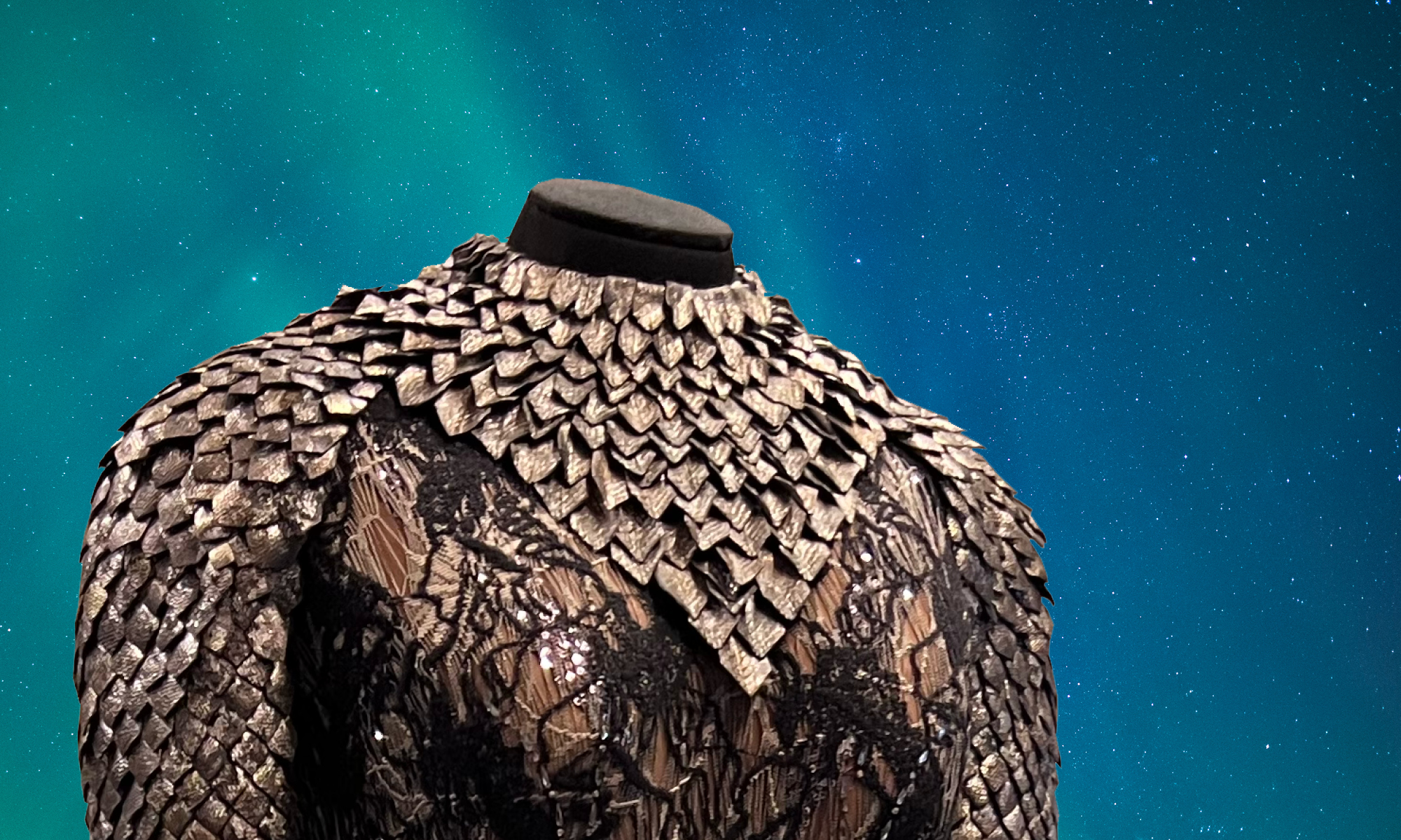 Ruta Skadi's Armour | Pitt Rivers Museum
